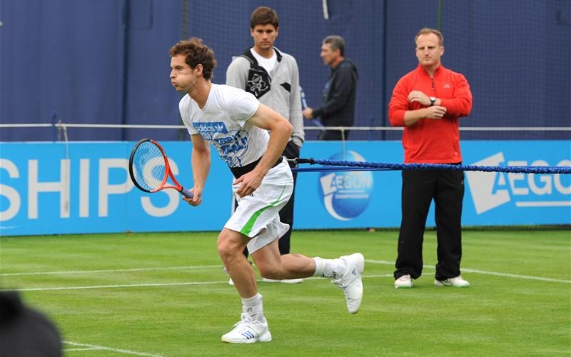 Why does Andy Murray wear ankle braces? - PhysioRoom Blog